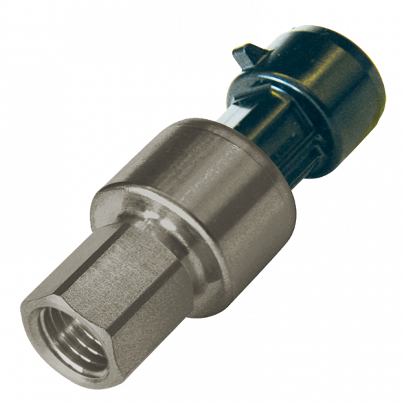 Packard Connection Archives - Sensaggio